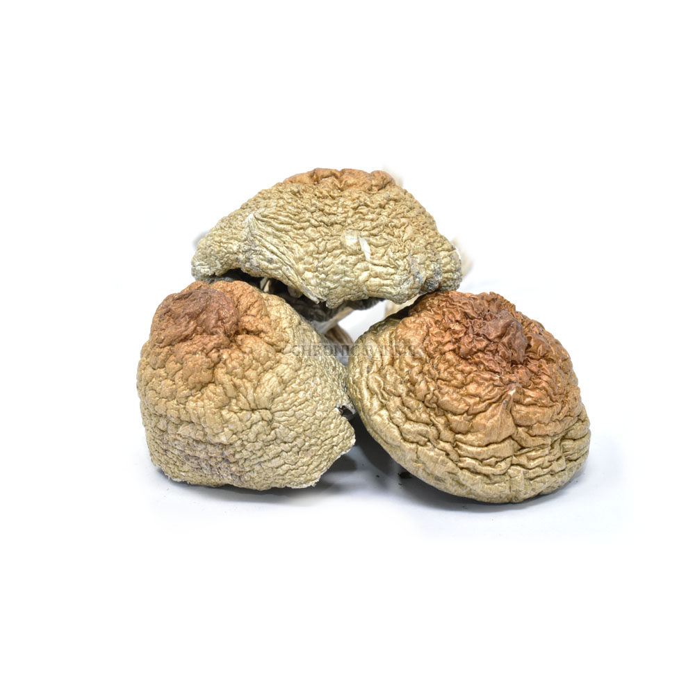 Mushrooms - Mix & Match 28G - Chronic Farms