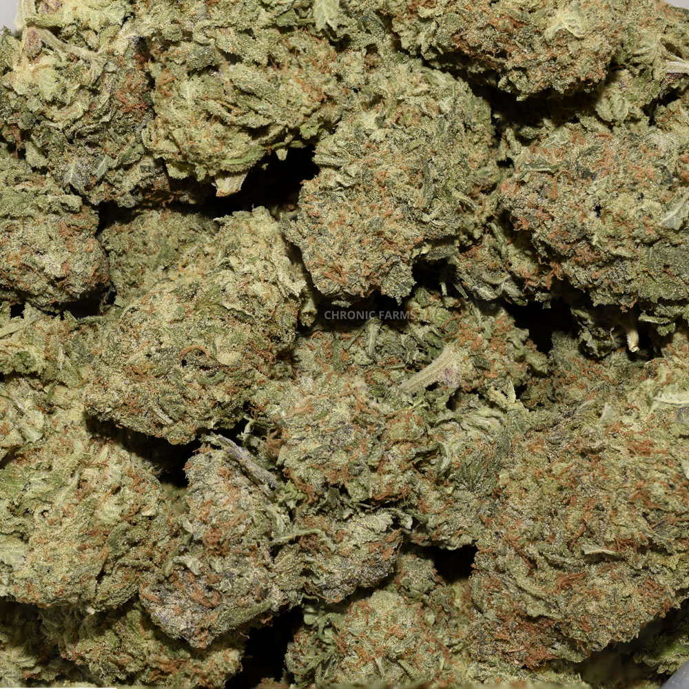 Blue Chronic Weed