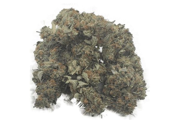 Tom Ford Strain Review. Is This Weed a Relaxing High?